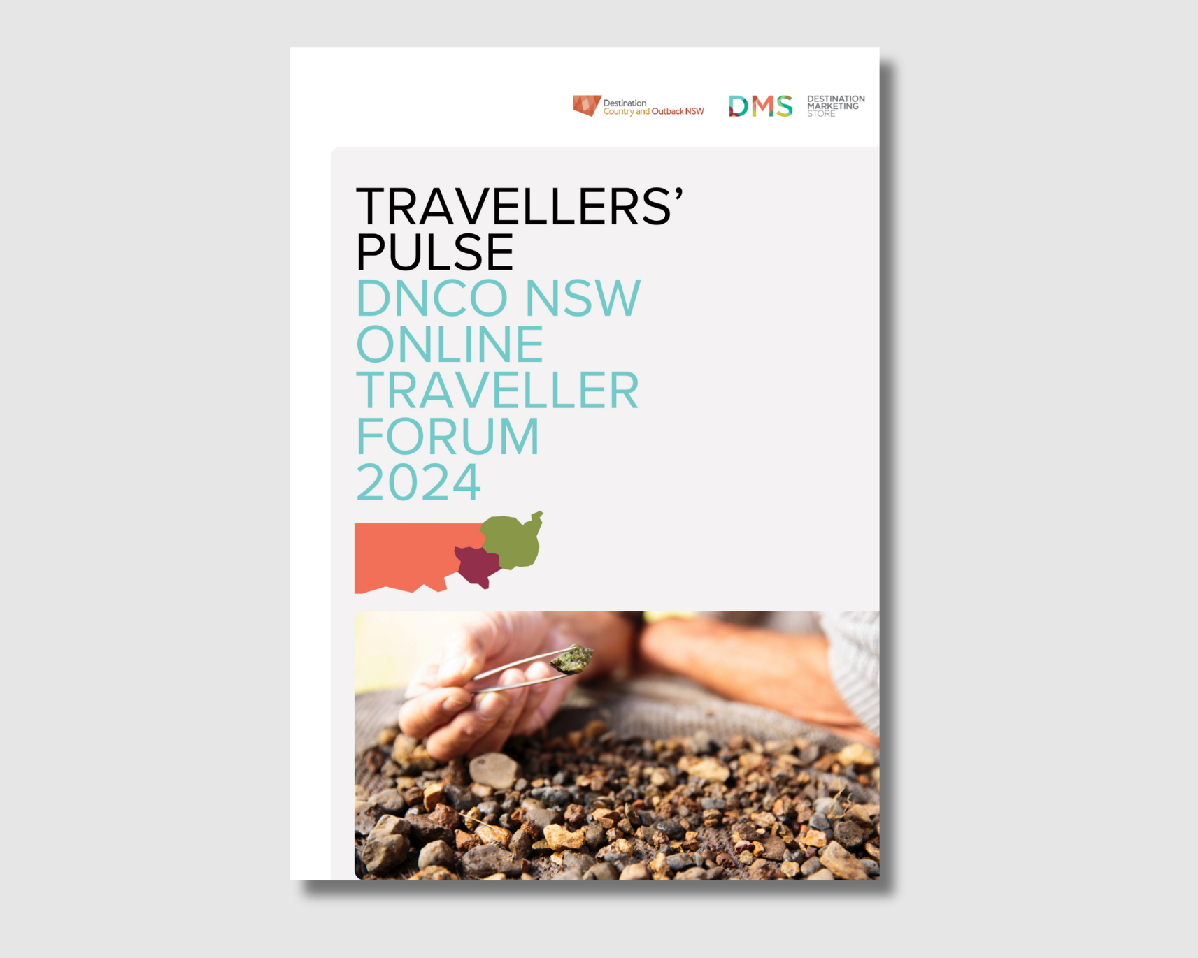 TRAVELLERS PULSE DNCO 2024 - Destination Marketing Store